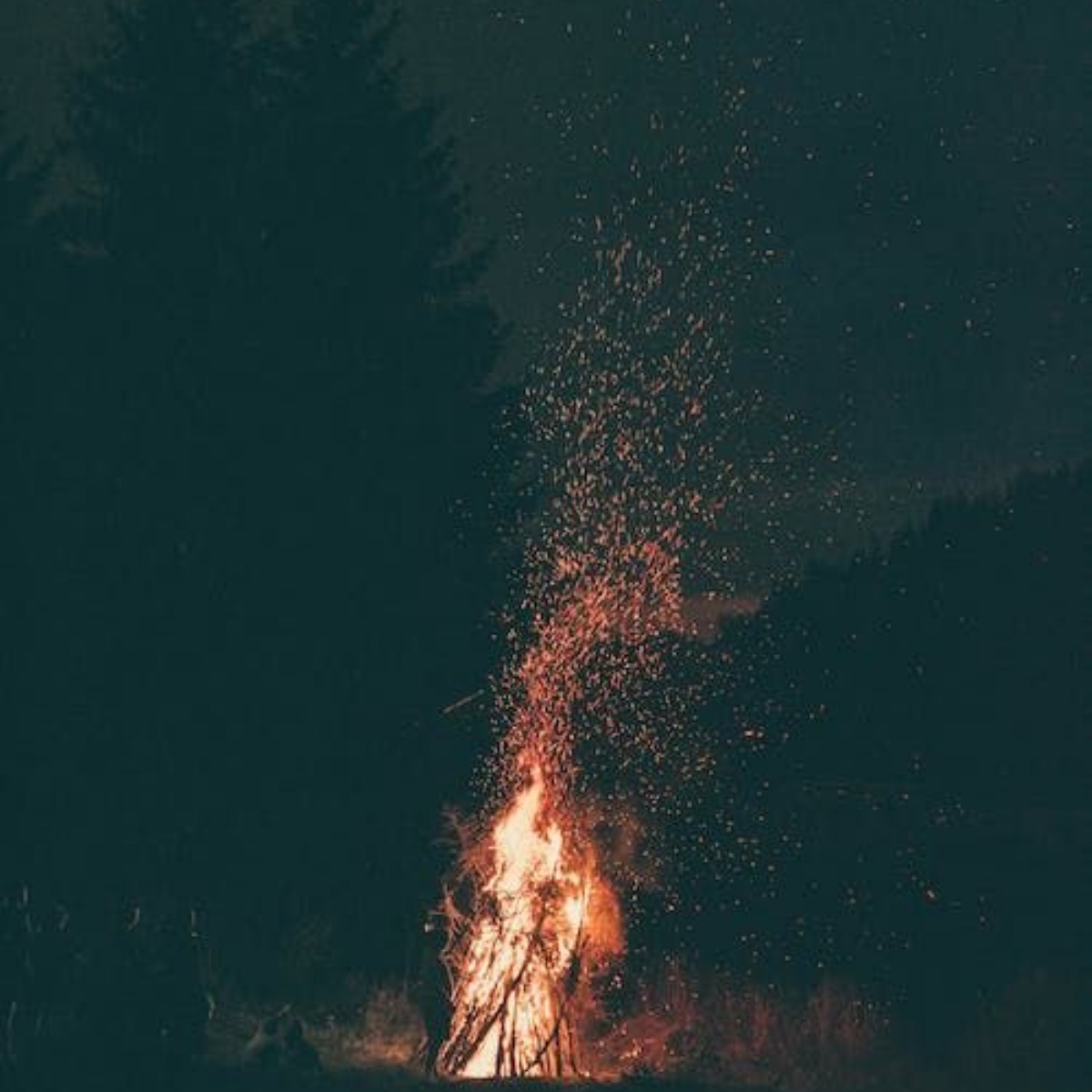 Waverley School - Happy, Safe Halloween/Bonfire Night - Reminder from ...